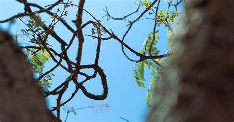 harnessing the power how cloud computing drives techs sustainability