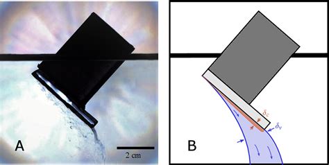 Figure 1 From Dissolution Driven Propulsion Of Floating Solids