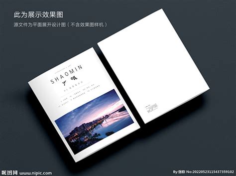 文学杂志期刊封面图片