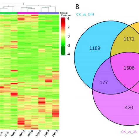 A Hierarchical Cluster Analysis Different Columns In The Figure Download Scientific Diagram
