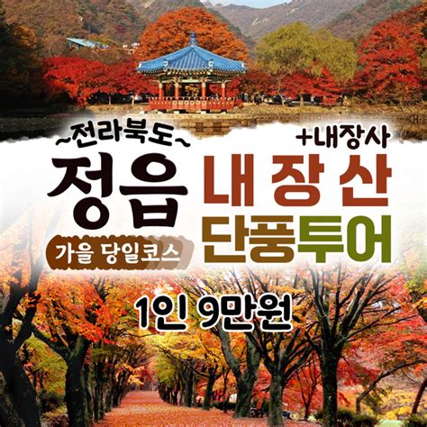 시즌종료 정읍 내장산 내장사 단풍 당일투어 9만원 국내당일여행