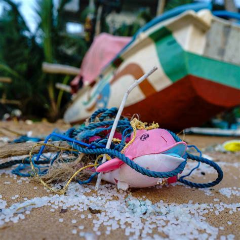 Plastic Particles May Be Quietly Sabotaging Your Hormones And Fertility