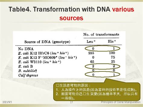 Genetic Transformation In Escherichia Coli K 12 Sharon