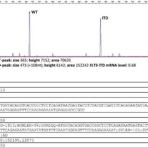 Flt3 Itd Mutational Burden Measured By Fragment Analysis And Htas Download Scientific Diagram