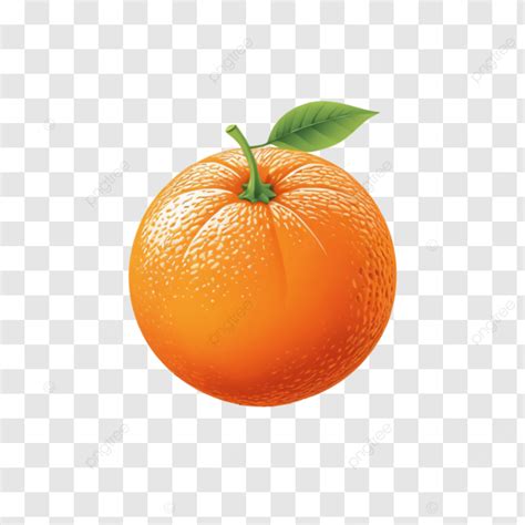 Orange Vector Logo Design Orange Vector Orange Logo Orange Apple Png
