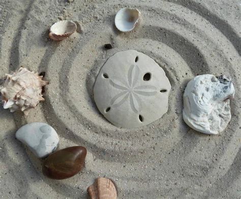 Ortho Bionomy® Schule