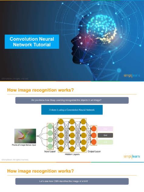 convolution neural network pdf