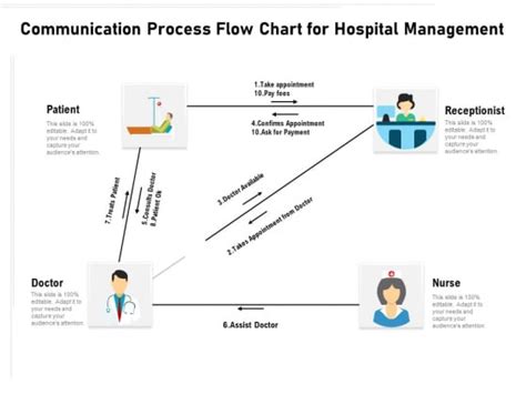 Schematic Or Diagrammatic Presentation Of The Communication Processes