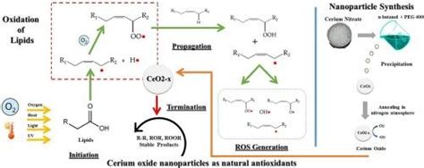 使用 Ceo2 纳米颗粒实现自由基清除驱动的食用油稳定化及其保质期的机理见解 Food Chemistry X Mol