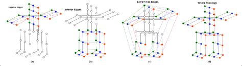 Figure 1 From S3gaar Segmented Spatiotemporal Skeleton Graph Attention