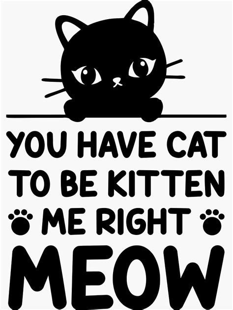 You Have Cat To Be Kitten Me Right Meow Cute Cat Quotes Sticker For
