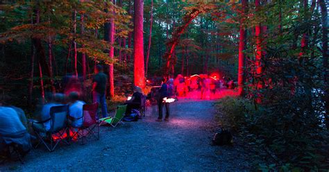 Great Smokies Fireflies Put On Synchronous Show For Crowds