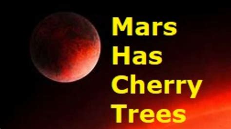 The Mars Land Rover Discovers A Field Of Cherry Trees On The Red Planet The Spoof