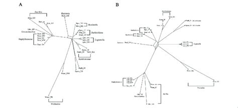 The Reconstructed Network On 25 Gc Poor Or Gc Rich Bacteria A The