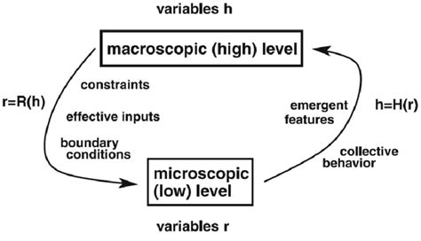 Illustration Of The Interplay Of Microscopic And Macroscopic