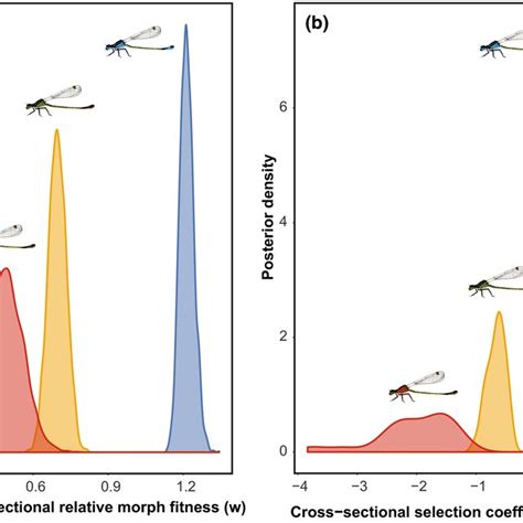 Prereproductive Survivorship And Selection Prior To Sexual Maturity In Download Scientific