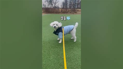 누나의 한마디에 Youtube