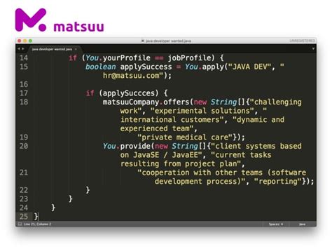 Java Developer Wanted Pdf Programming Languages Computing