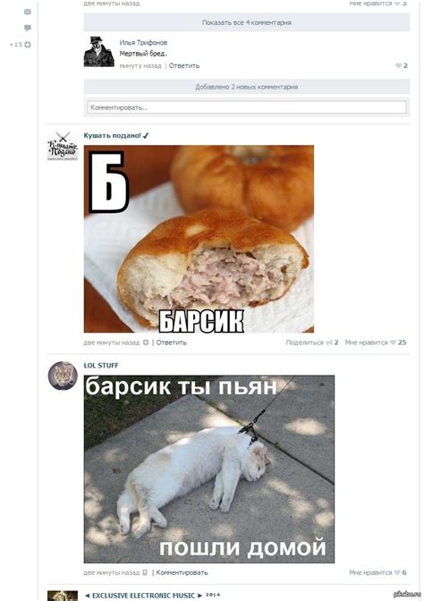 Барсик Пикабу