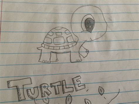 Turtle Math Fun And Educational Math Resources