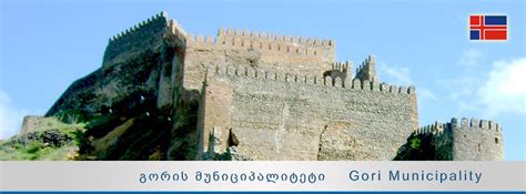 გო გორის მუნიციპალიტეტის მერის სამოქალაქო მრჩეველთა საბჭო