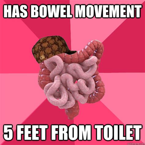 Has Bowel Movement 5 Feet From Toilet Scumbag Intestines Quickmeme