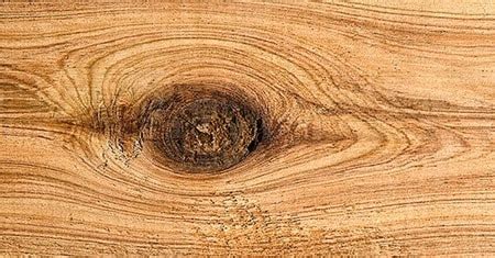 Types of Defects in Timber as a Construction Material