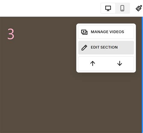 Edit Section Is Not Showing Background Options For A Video Template Customize With Code
