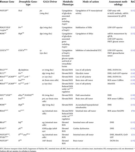 Drosophila Models Reproducing Cancer Metabolism Download Scientific