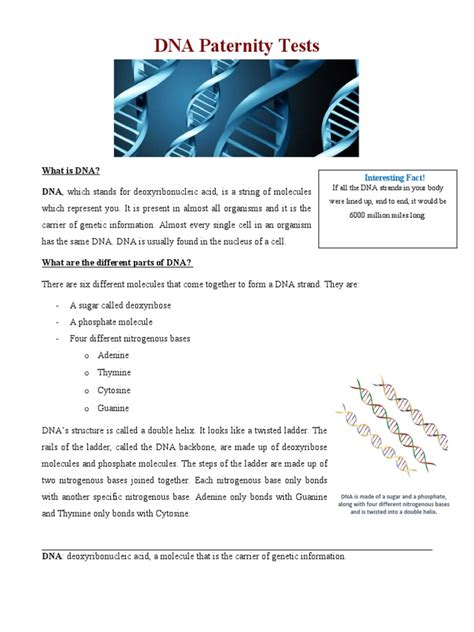 Dna Paternity Tests Pdf Dna Dna Profiling