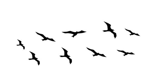 새 비행 실루엣 클립 아트 나는 새들 날아다니는 새들 새 비행 실루엣 Png 일러스트 및 벡터 에 대한 무료 다운로드 Pngtree