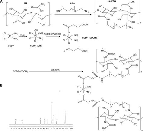 Synthesis Scheme A And ¹h Nmr Spectroscopy B Of Ha Peg Cddp Prodrug Download Scientific