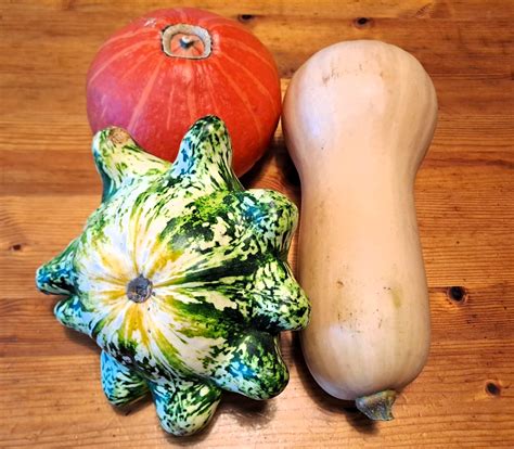 Zuinigaan Pompoenen Veel Pompoenen