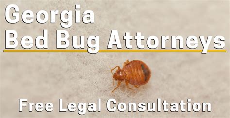Bed Bug Attorney Atlanta Georgia Bed Bug Lawyers