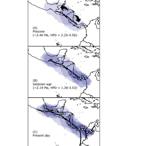 Spatial Projection Of The Bayesian Spatiotemporal Diffusion Analysis Of