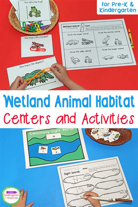 Wetland Animal Habitat Centers The Kindergarten Connection