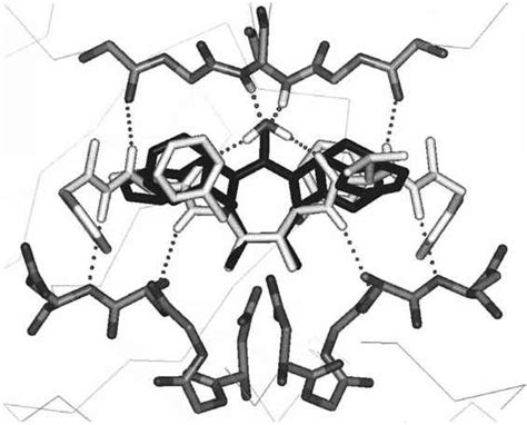 Combinatorial Parallel Chemistry Protein Kinase European Medical