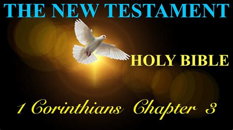 1 Corinthians Chapter 3 Daily Bible Study Spoken Word Text Red