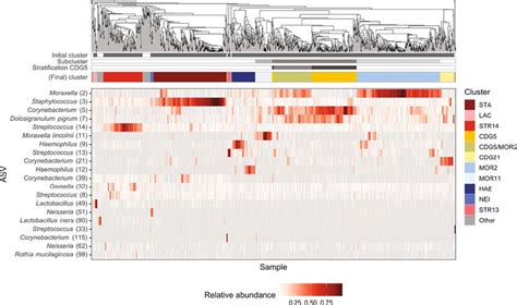 dendrogram visualizing an average linkage hierarchical clustering of