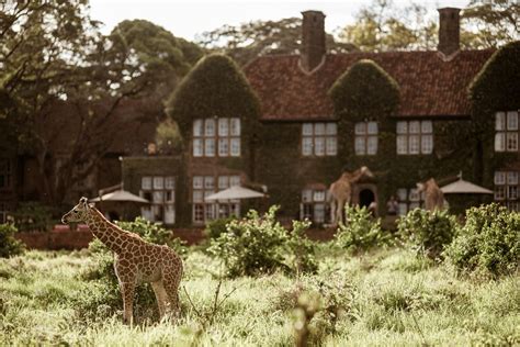 Sleep And Dine With Giraffes At This Giraffe Hotel In Kenya What Is