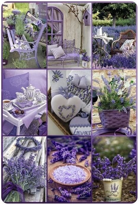 Pin By Mandy Hanner On New House Lavender Crafts Lavender Cottage