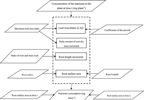 Flow Chart Of Nutrients Consumption Rate Download Scientific Diagram