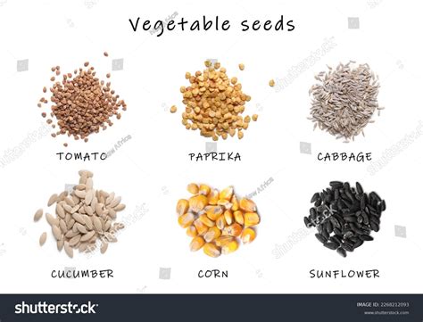 seeds