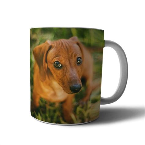 Cana Din Ceramica Mobiltokguru Model Catel Teckel 1 300ml Multicolor