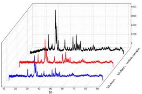 Diffraction Patterns Of Samples With Calcium Phosphates Initial Download Scientific