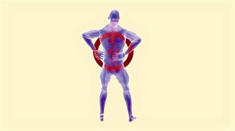 Medical Terminology Suffix Oid