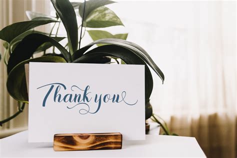 Olivia Script Font 1001 Fonts