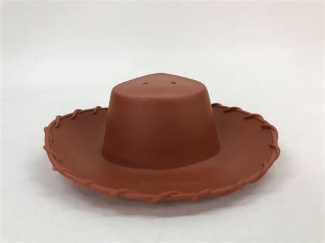 Toy Story Woody Hat 5 In 4588686858