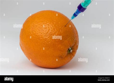 Gmo Experiment On The Orange Bioengineering Food Genetically