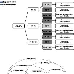 Decision Tree And Markov Model Diagrams